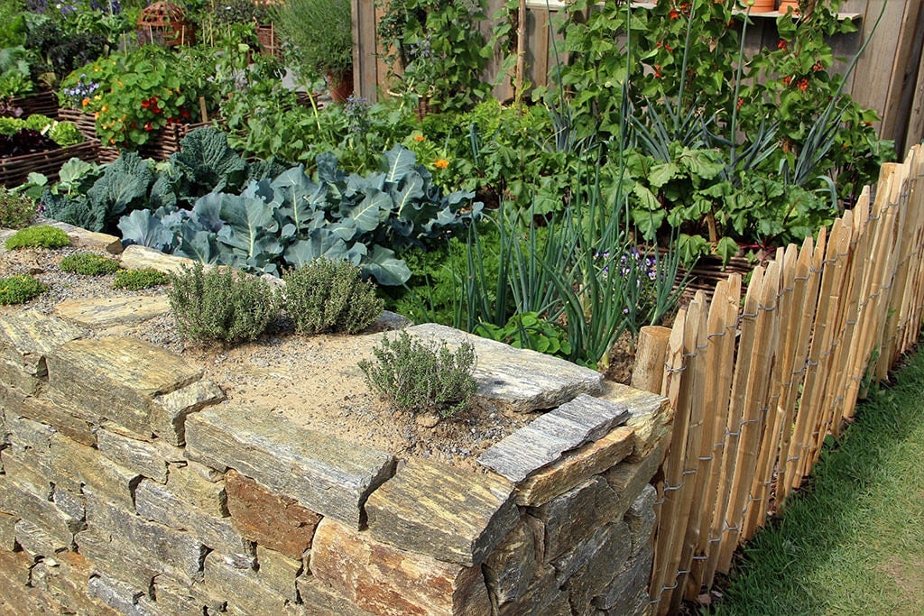 10 Tips for using a Screen or Privacy Fence for Your Garden – Bonnie Plants