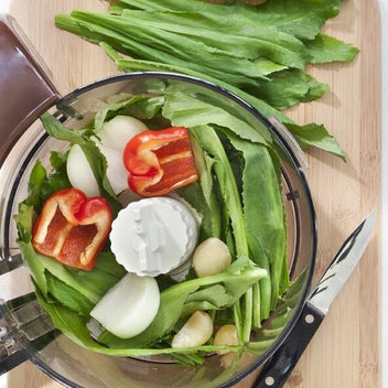 Recaito with Culantro – Bonnie Plants