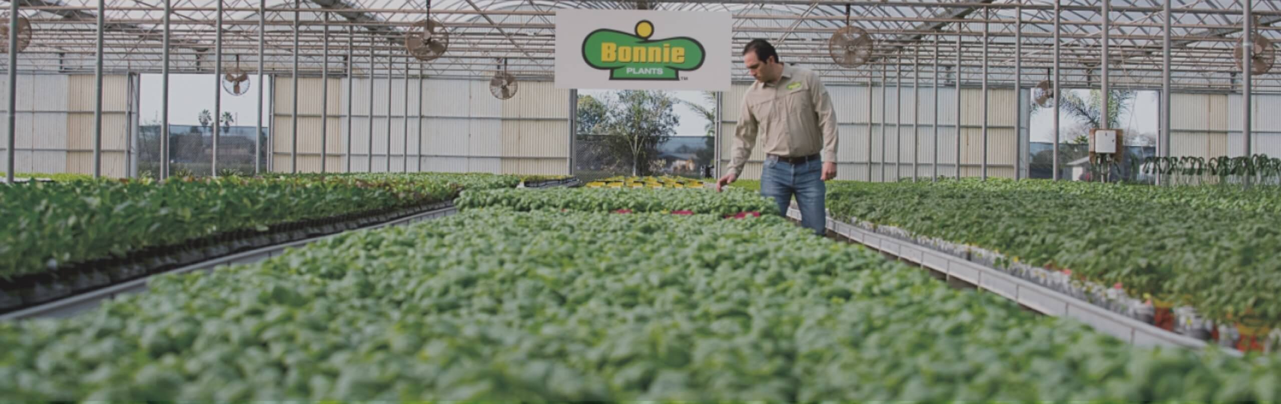 Bonnie Plant Farm Logo