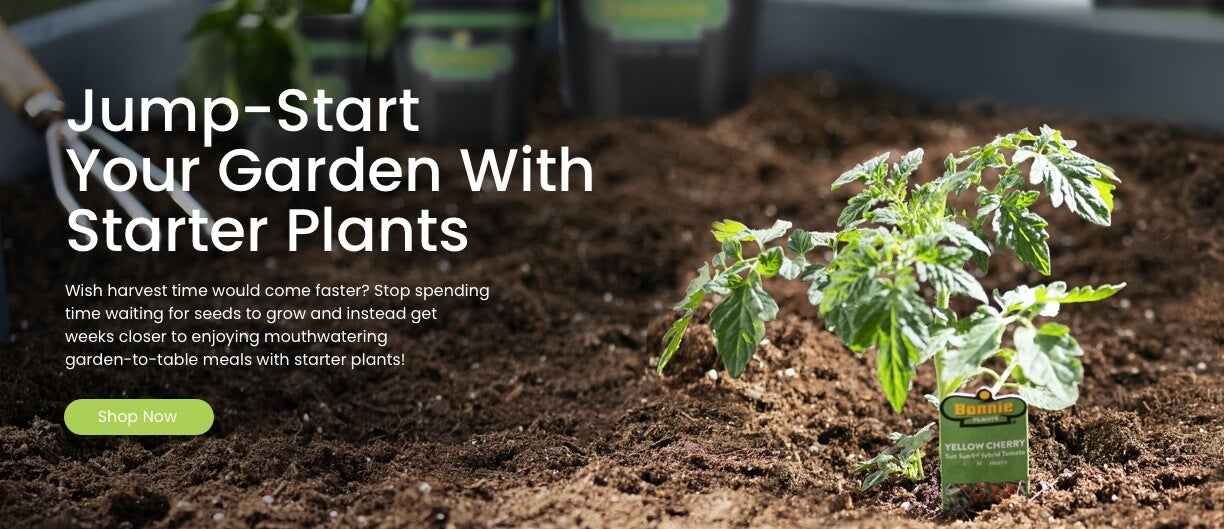 Bonnie Plants Seed Starter