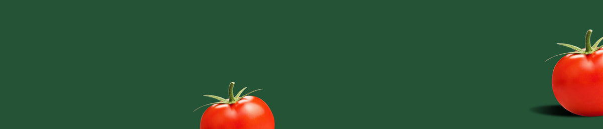 Pickleworm Control | Bonnie Plants