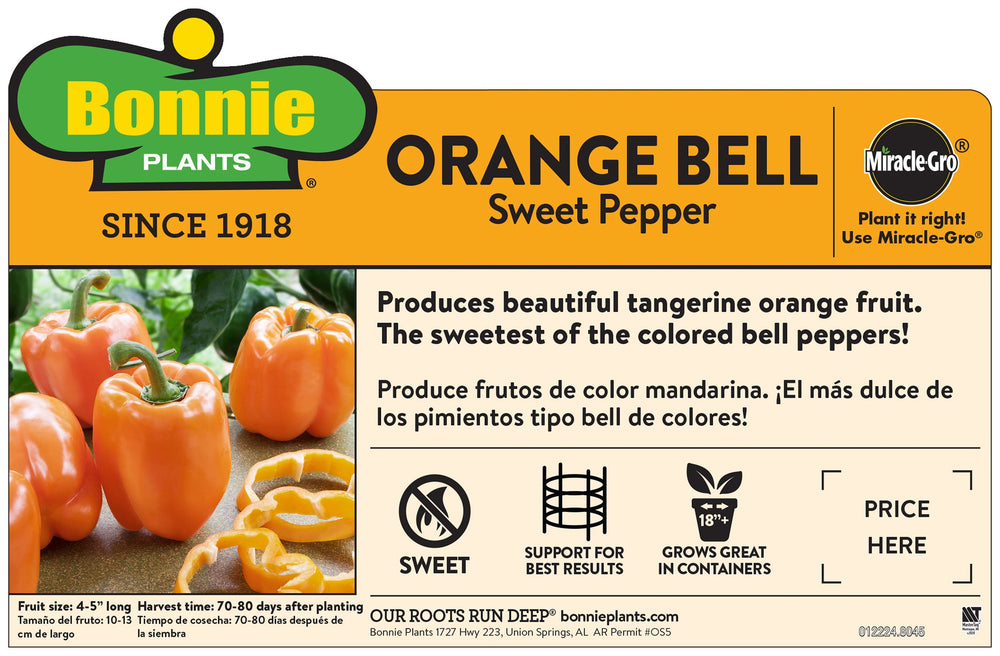 Orange Bell Pepper – Bonnie Plants