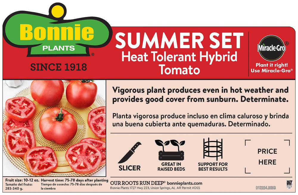 Summer Set Tomato – Bonnie Plants