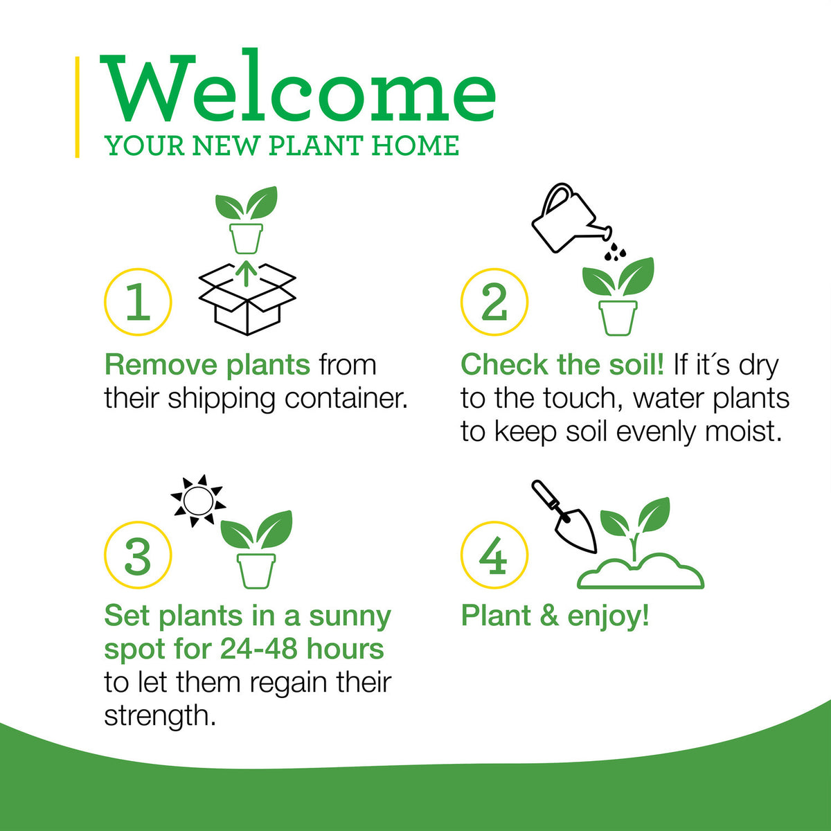 Lieutenant Broccoli (2 Pack) – Bonnie Plants