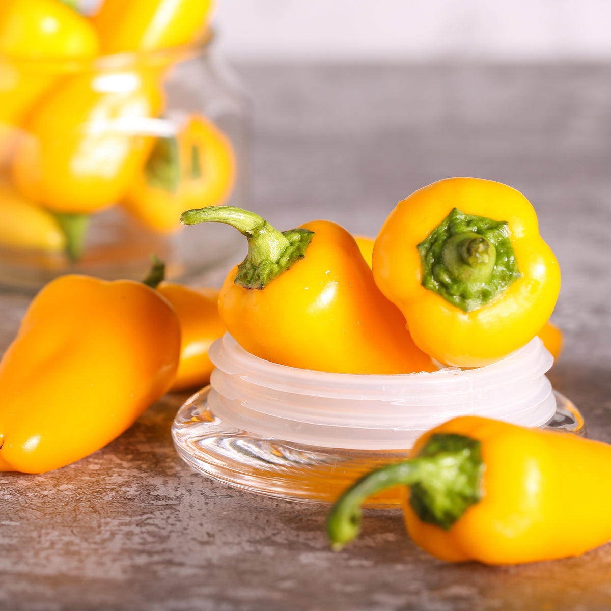 Orange Snacking Pepper – Bonnie Plants