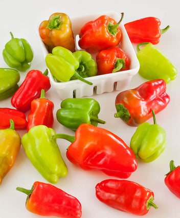 Peppers – Bonnie Plants