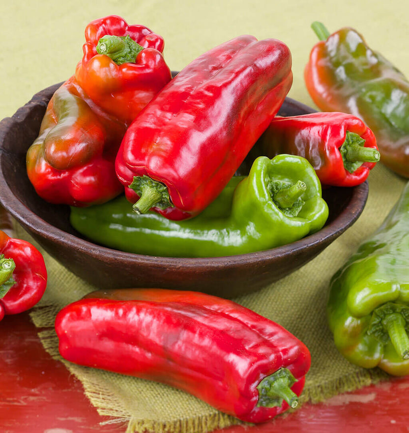 Giant Marconi Pepper (2 Pack) – Bonnie Plants