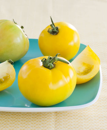 Tomatoes – Bonnie Plants