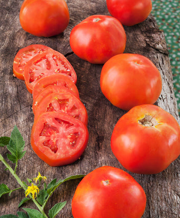 Tomatoes – Bonnie Plants
