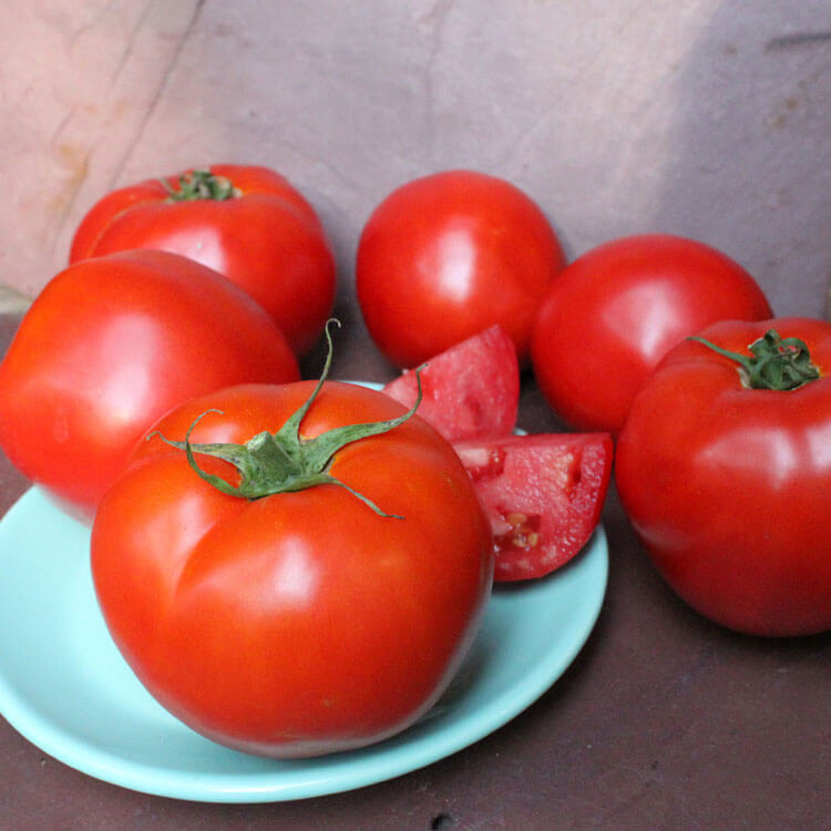 Summer Set Tomato (In-Store Only) – Bonnie Plants